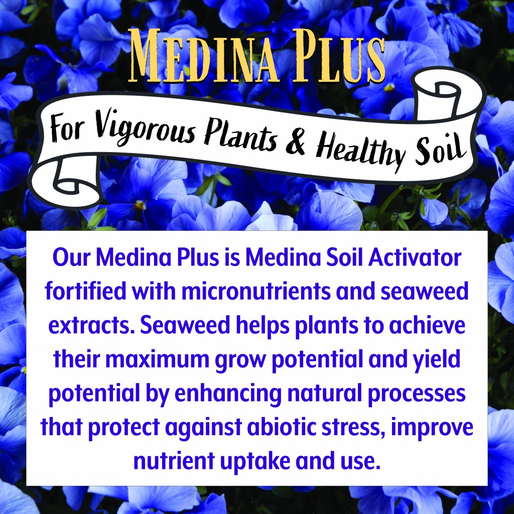 Medina Plus – Medina Agriculture Products