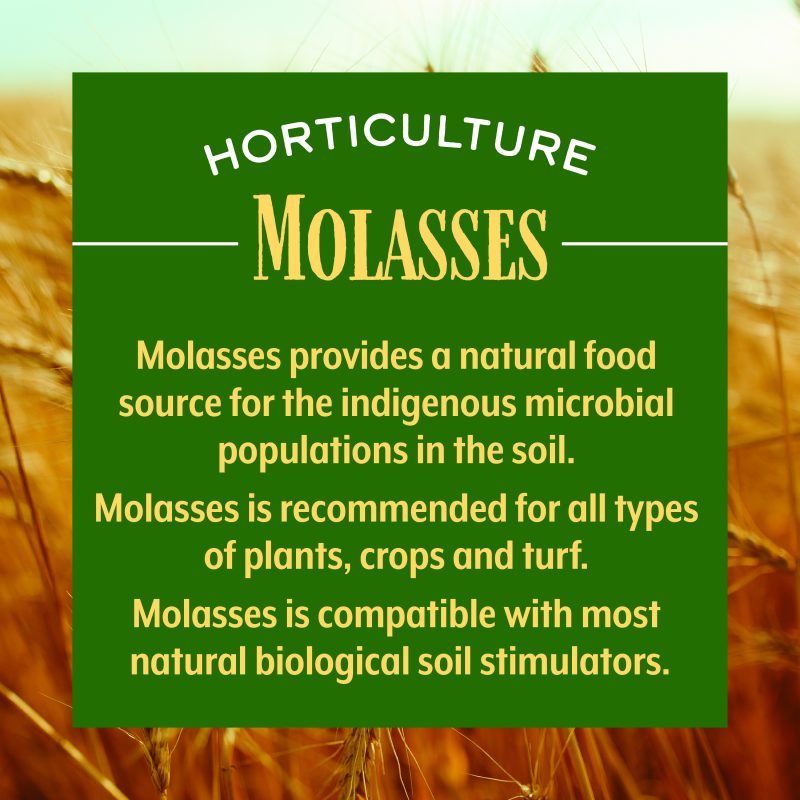 Horticulture Molasses – Medina Agriculture Products
